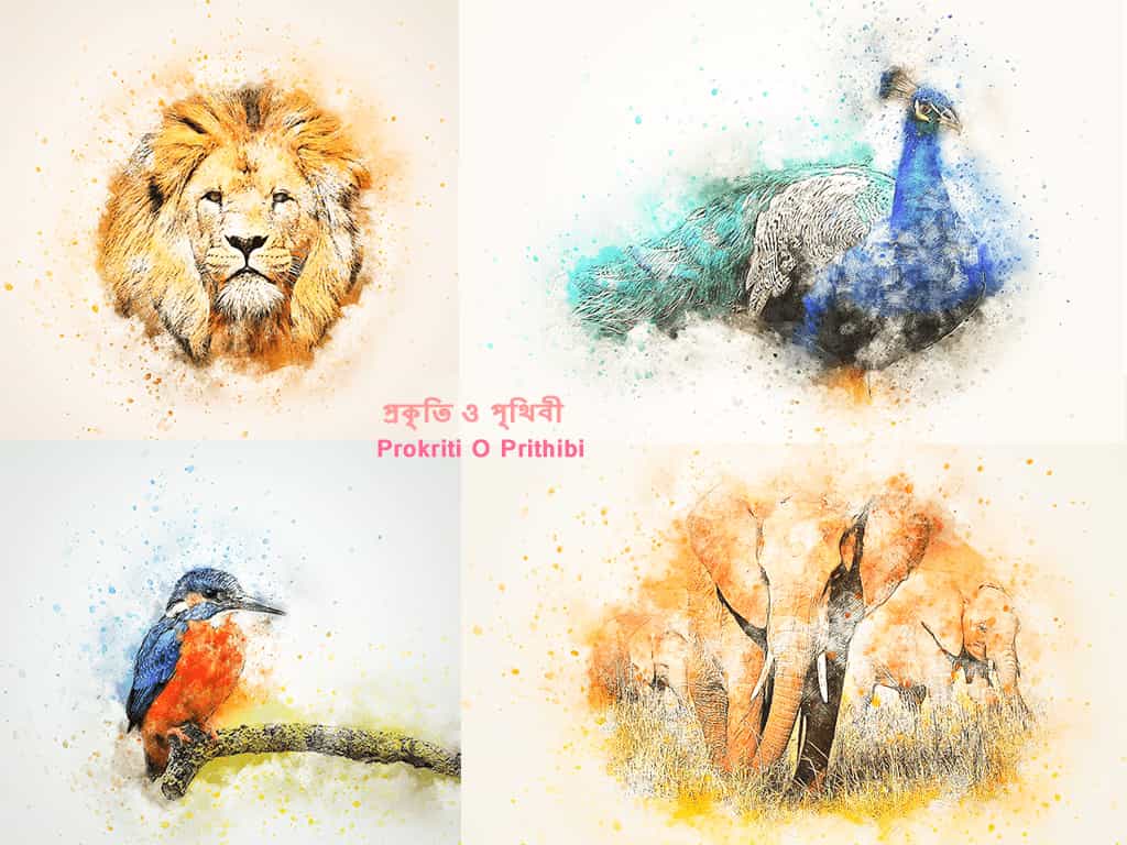 Chotoder Kobita: Prokriti O Prithibi ~ প্রকৃতি ও পৃথিবী – Bangla Kobita ...